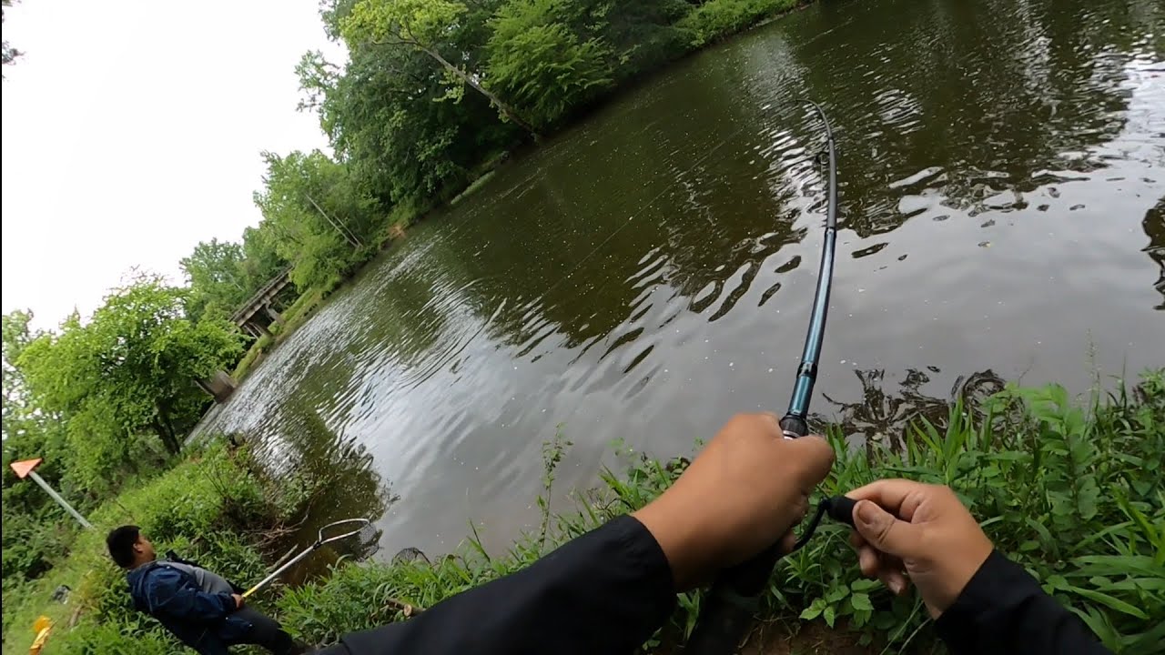 Hybrid bass fishing in Tennessee with @leagueoffishingYT - YouTube