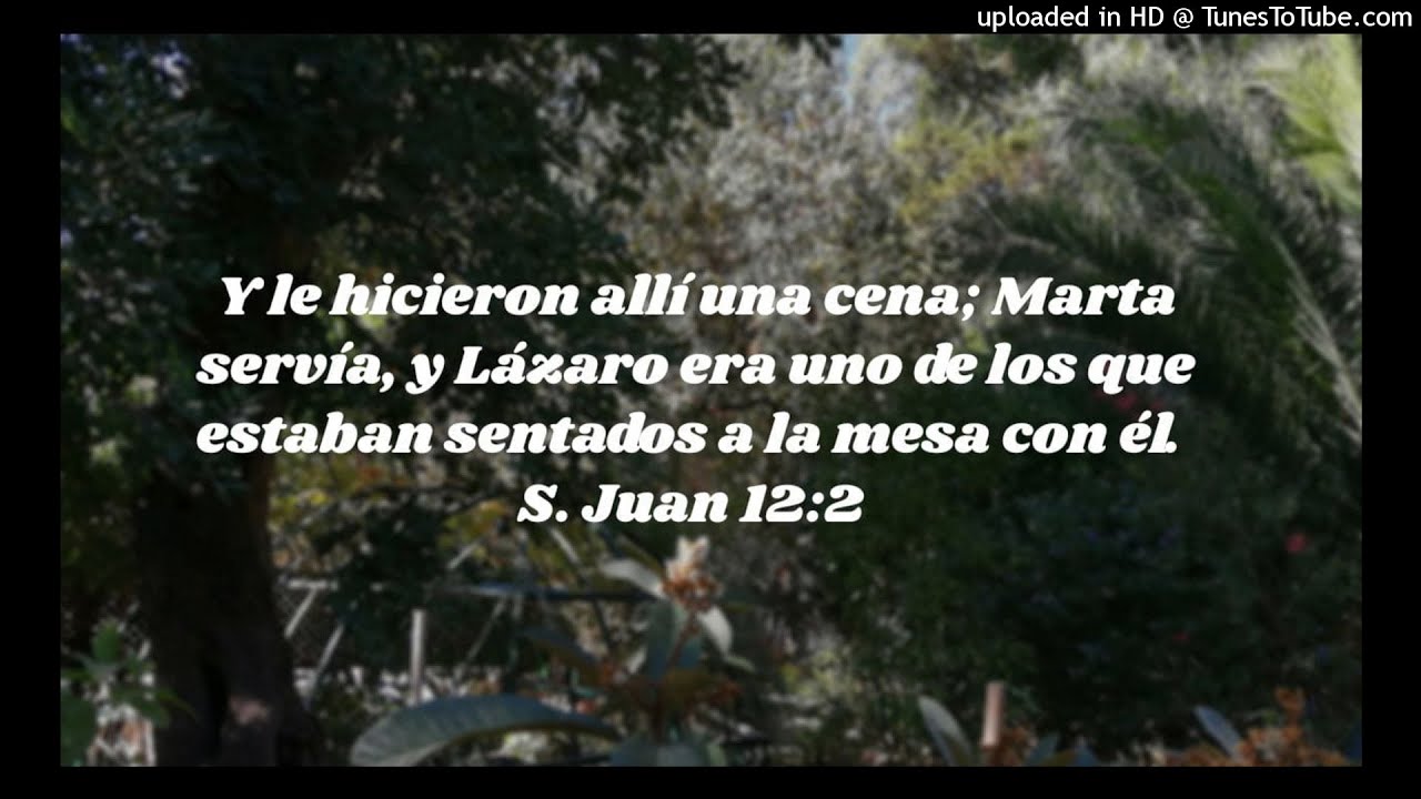 Evangelio de Juan_Capitulo 12_La Comunion y el Servicio a Cristo_Jn12_1 ...
