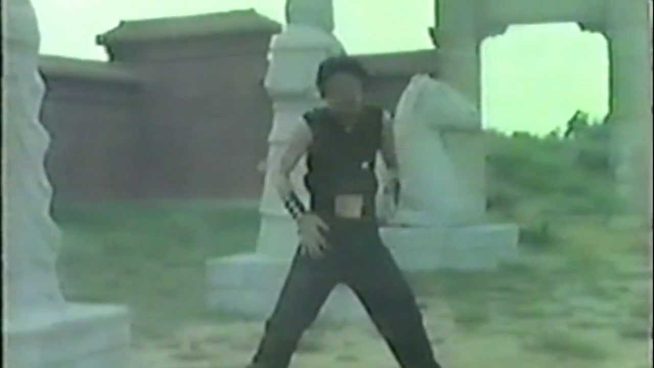 Kung Fu Fight Scene Hu Hao Shuang Xing (english) - YouTube