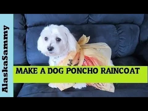 Make a Dog Poncho Raincoat from Plastic Bag
