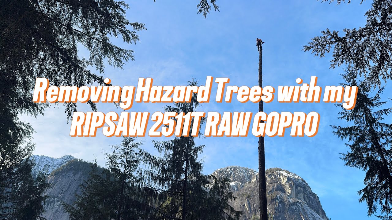 Removing Hazard Trees with my RIPSAW 2511T RAW GOPRO - YouTube
