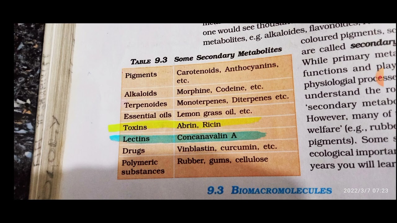 abrin, ricin - YouTube