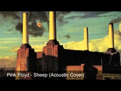 Pink Floyd - Sheep/Raving And Drooling (Acoustic Cover) - YouTube