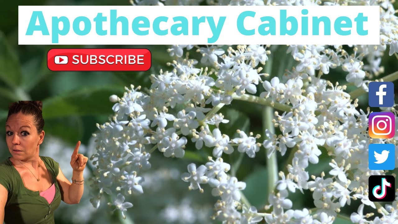 Tincture Tuesday/ Elderberry Flower - YouTube