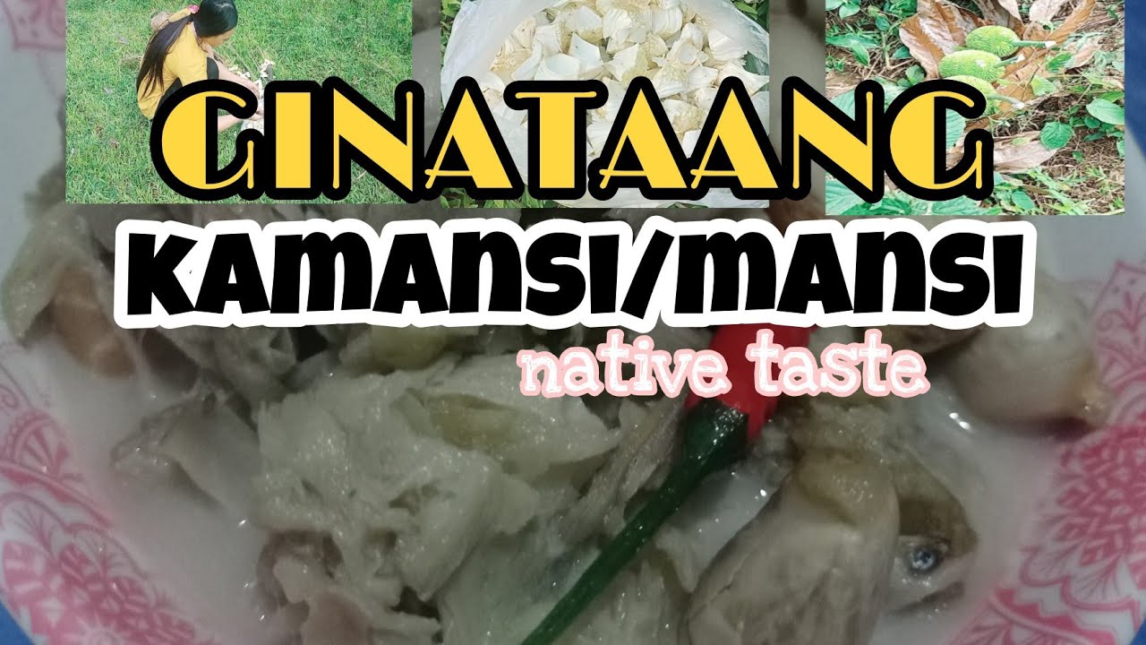 KAMANSI/MANSI picking, preparing and cooking / province life / native ...
