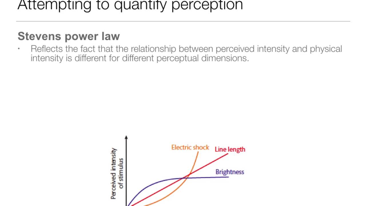 Perception: 1.6 Laws and Theories - YouTube