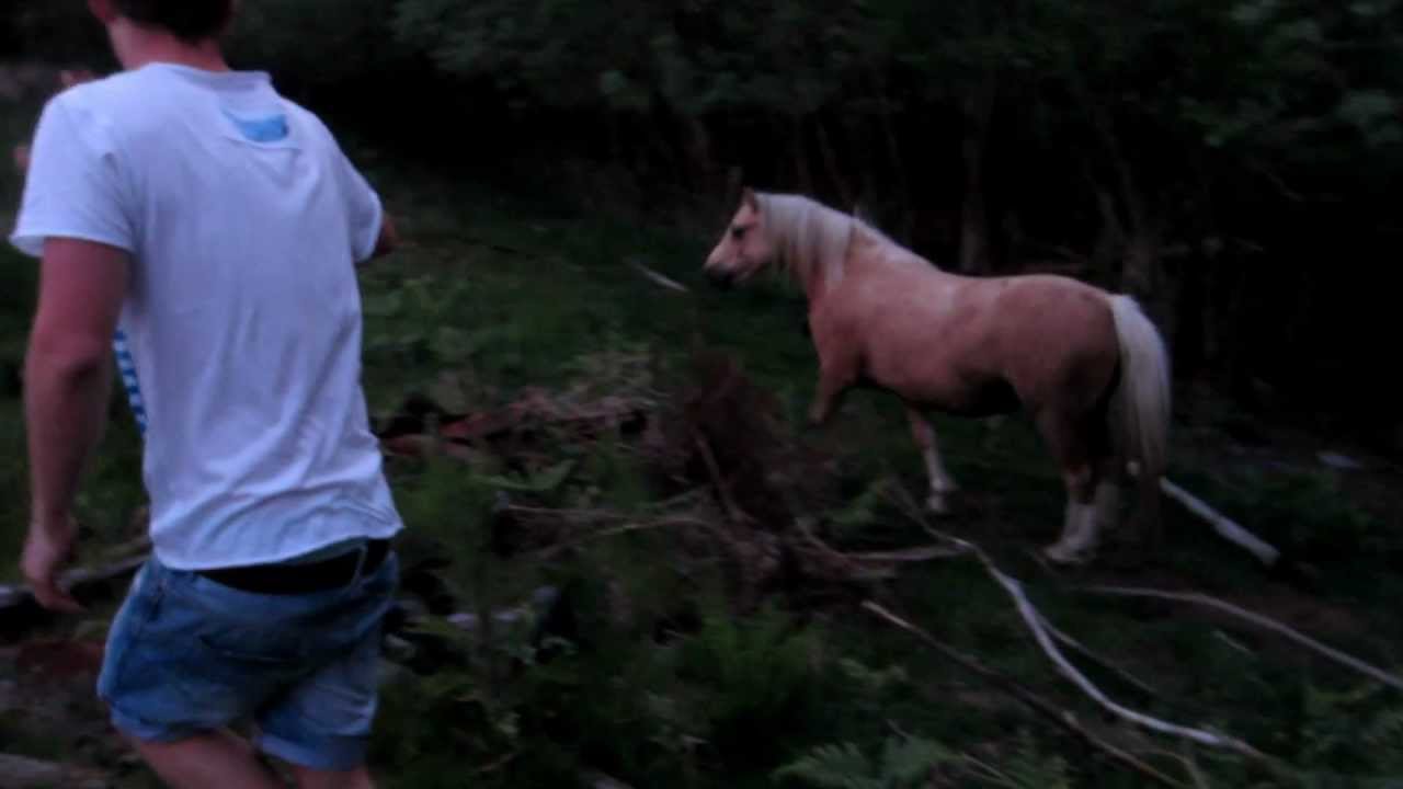 Take 1: Baiting the Donkey - YouTube