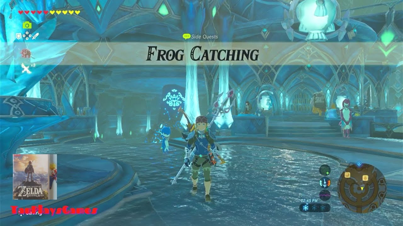 Frog Catching Walkthrough - The Legend of Zelda Breath of the Wild ...