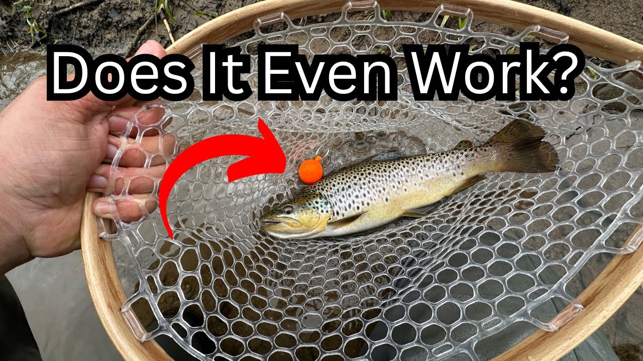 Testing Out The FishTechy Proof Ball! - YouTube