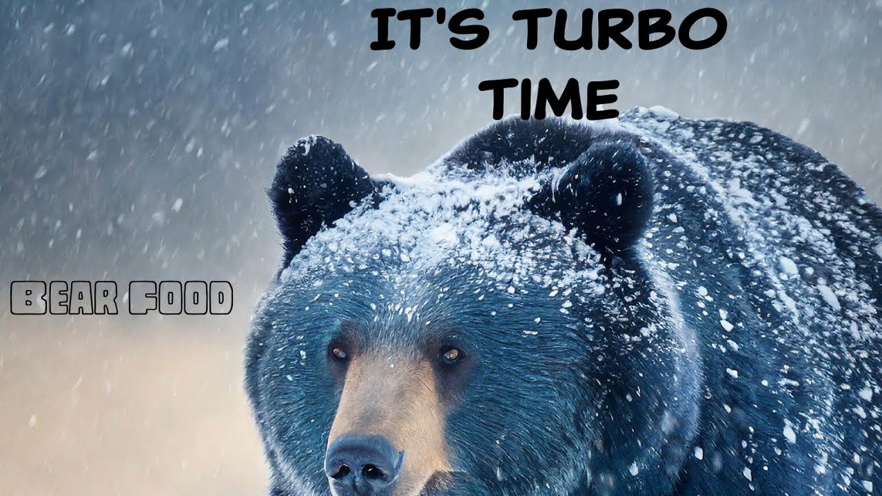 It's Turbo Time - Episode 50 - Bear Food - YouTube