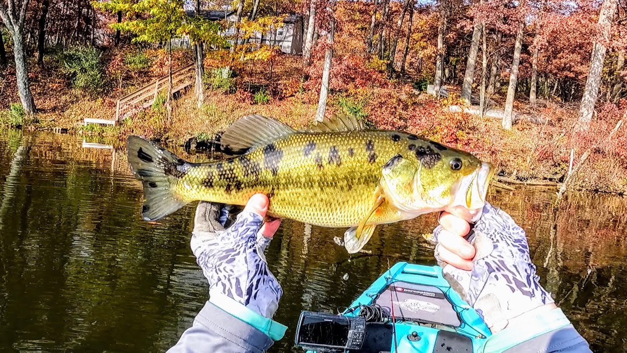 Schooled Up Bass! Michigan November Bass Fishing on the Kalamazoo River ...