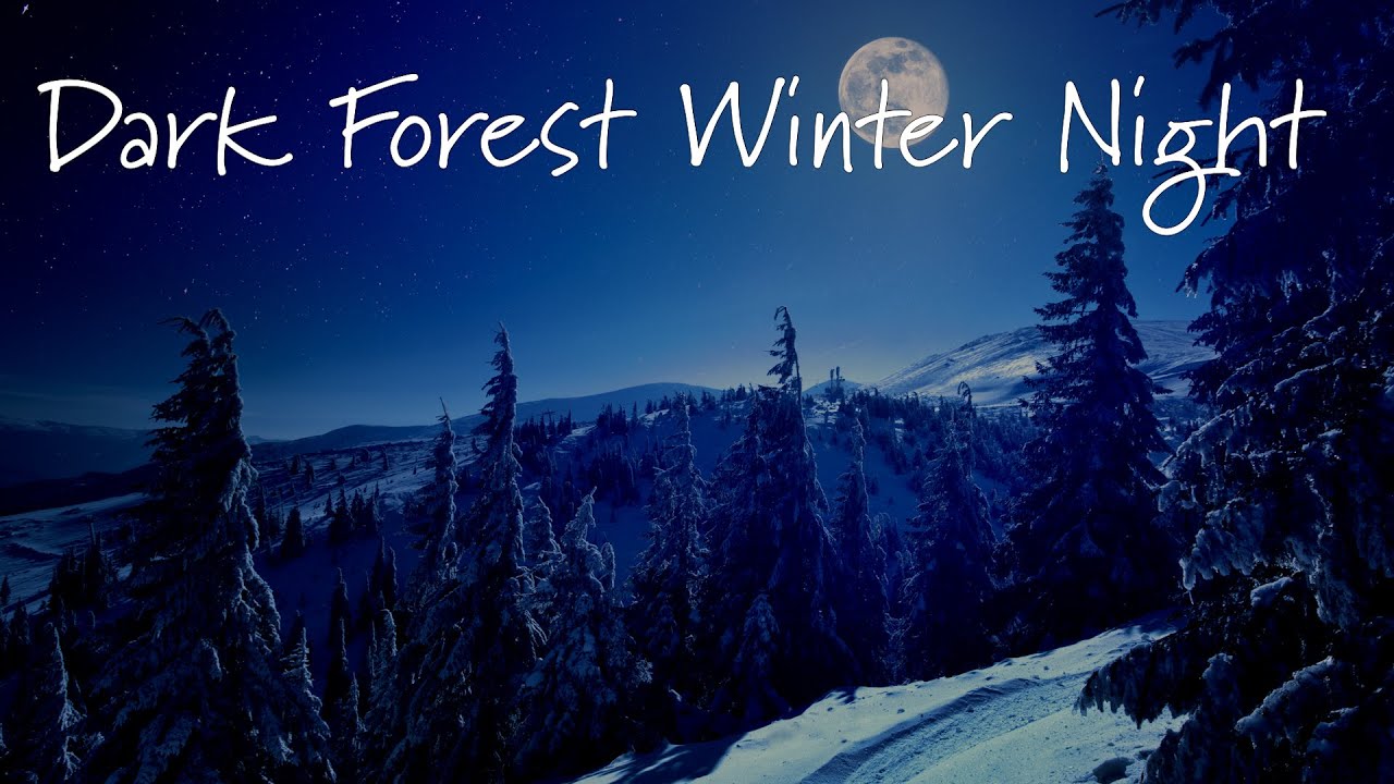 Winter Forest Ambiance with Wind Storm, Snow, Wolf Howl | Snowy Winter ...