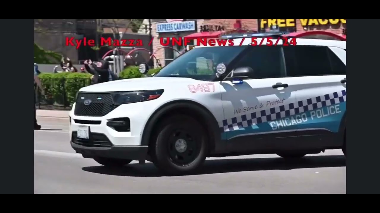Latin Kings in Satan Disciples Hood Chicago - YouTube