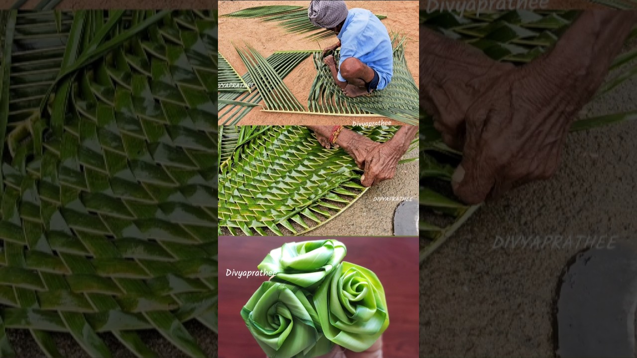 Coconut leaf mat/DIY coconut leaf decoration/leaf backdrop/pandal ...