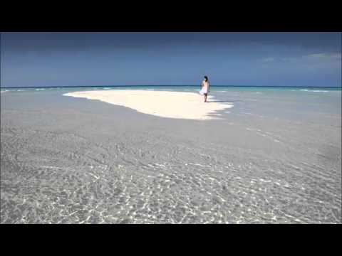 Jaidene Veda, Josh Milan - Beautiful (N'Dinga Gaba Mix) - YouTube