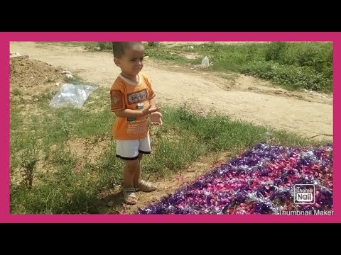 Naheed Saghir Cooking & vlogs.Abdul Hadi Going to Grand maa grave for prayer on 10th MOHARAM2020.