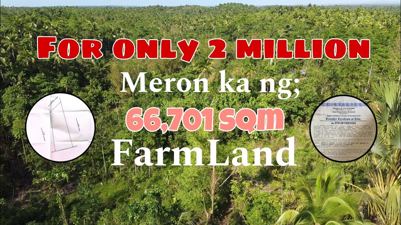 SOLD‼️Lot #6 | For only 2M meron ka ng 6.6 Hectares Farmland na pweding ...
