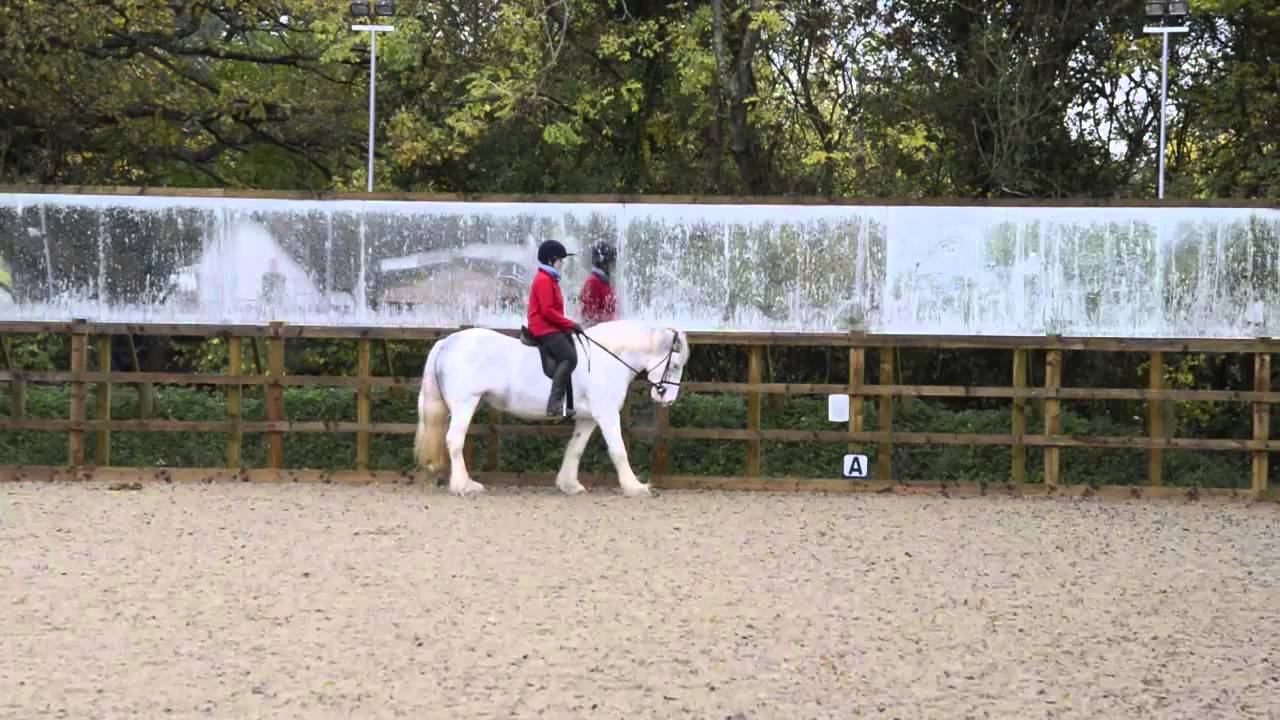 9 Nov 13 Shelley/Duffy - YouTube