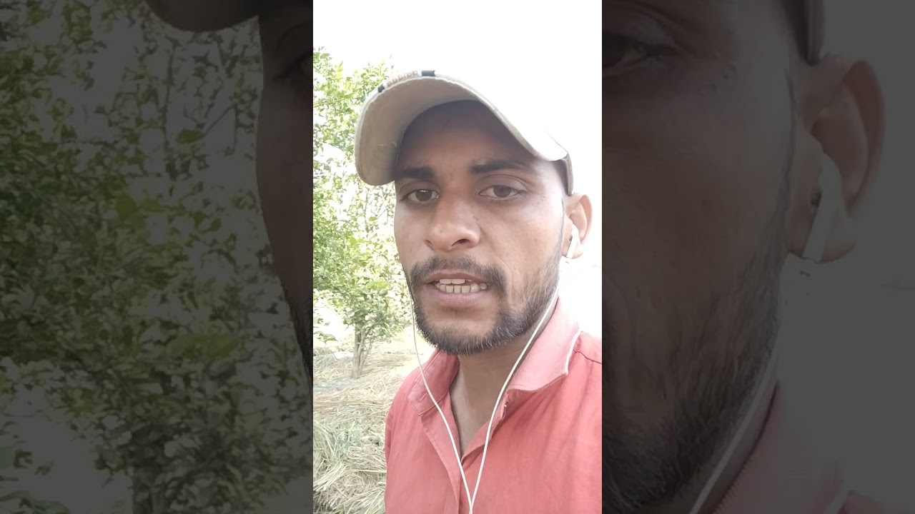 bahut bada nimbu ka ped - YouTube