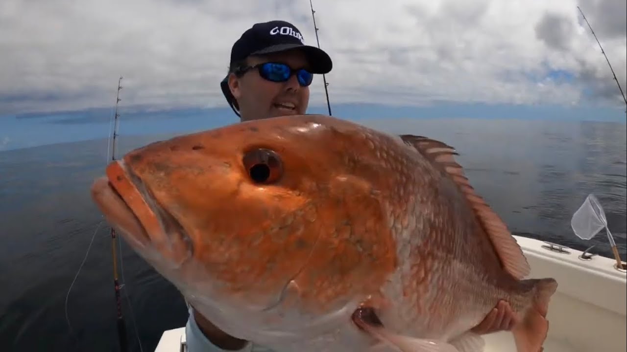 25-pound GIGANATIC RED SNAPPER Catch and Release! Epic FISH!! - YouTube
