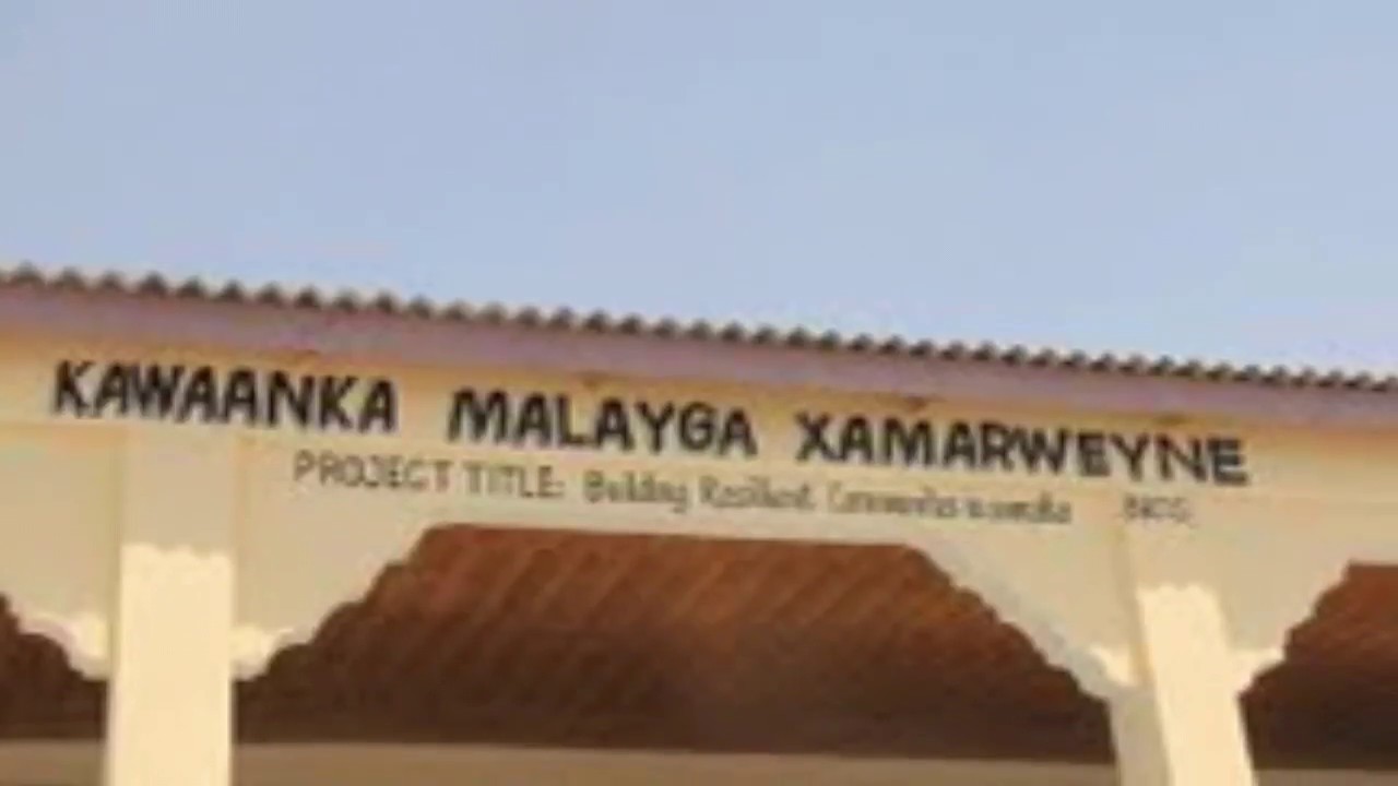 Somali biggest fish market Kawaanka malayga - YouTube