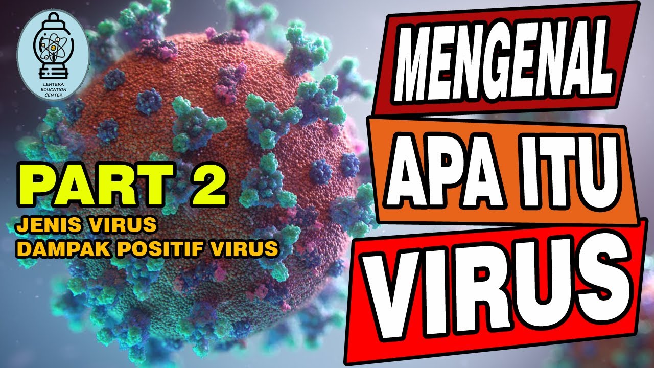 MENGENAL APA ITU VIRUS PART 2 | SMA X - YouTube