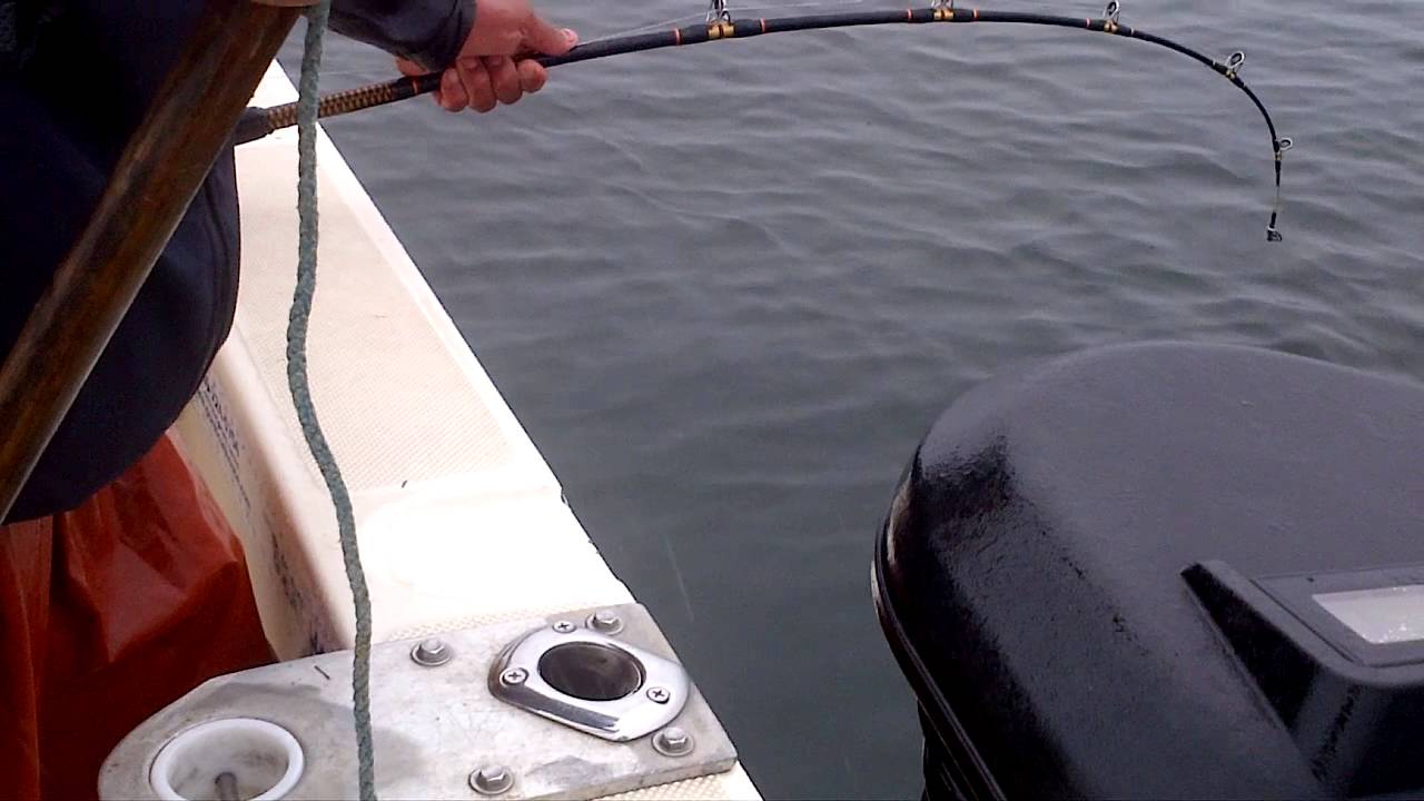 Steamer Point Lodge Halibut Fishing - YouTube