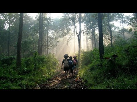 ശബരിമല കാനന യാത്ര | Journey Trough Erumeli To Pamba |Periyar Tiger ...