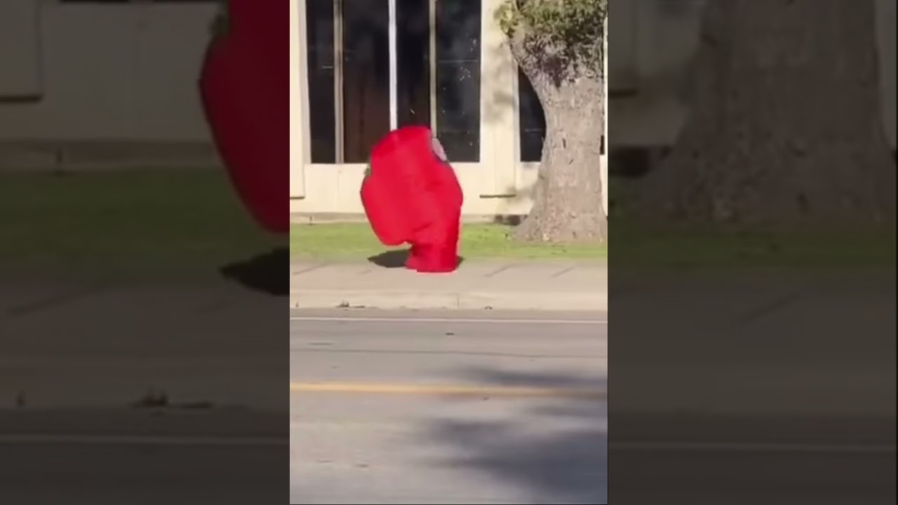 Sus costume - YouTube