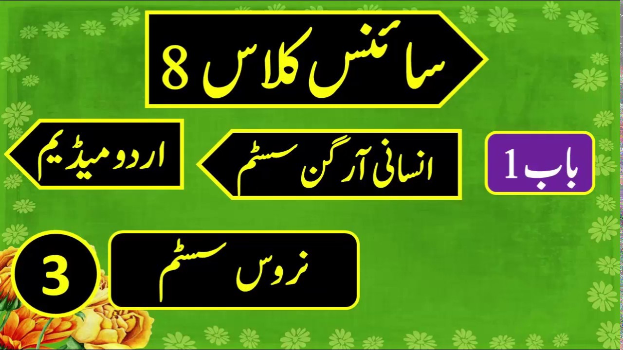 class-8th-science-general-science-grade-8-8th-class-science-in