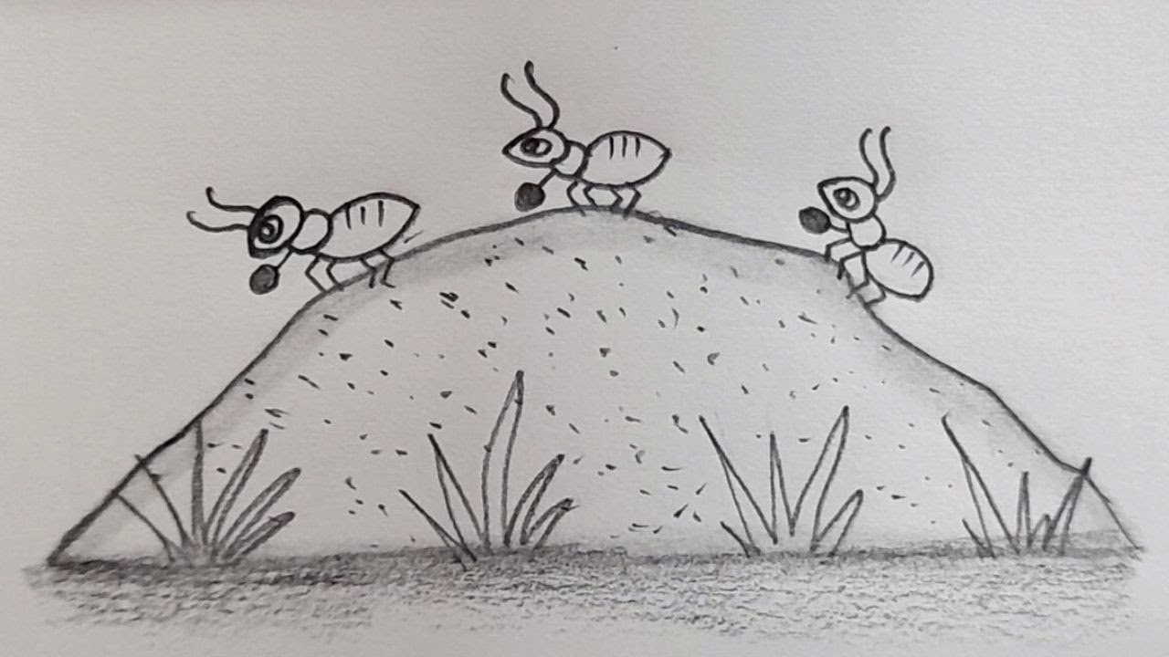 How to draw an Ant scenery | Easy drawing | @TamilNewArt - YouTube