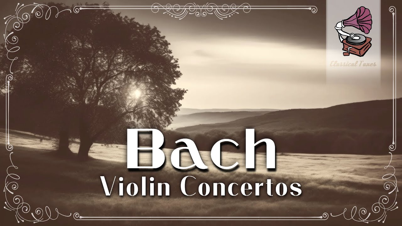 Johann Sebastian Bach | The Violin Concertos | 2 Hours Baroque Music ...