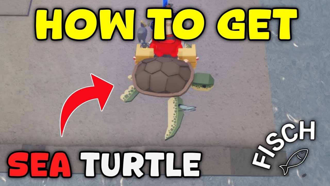 How To Get Sea Turtle Location In Fisch | Roblox - YouTube
