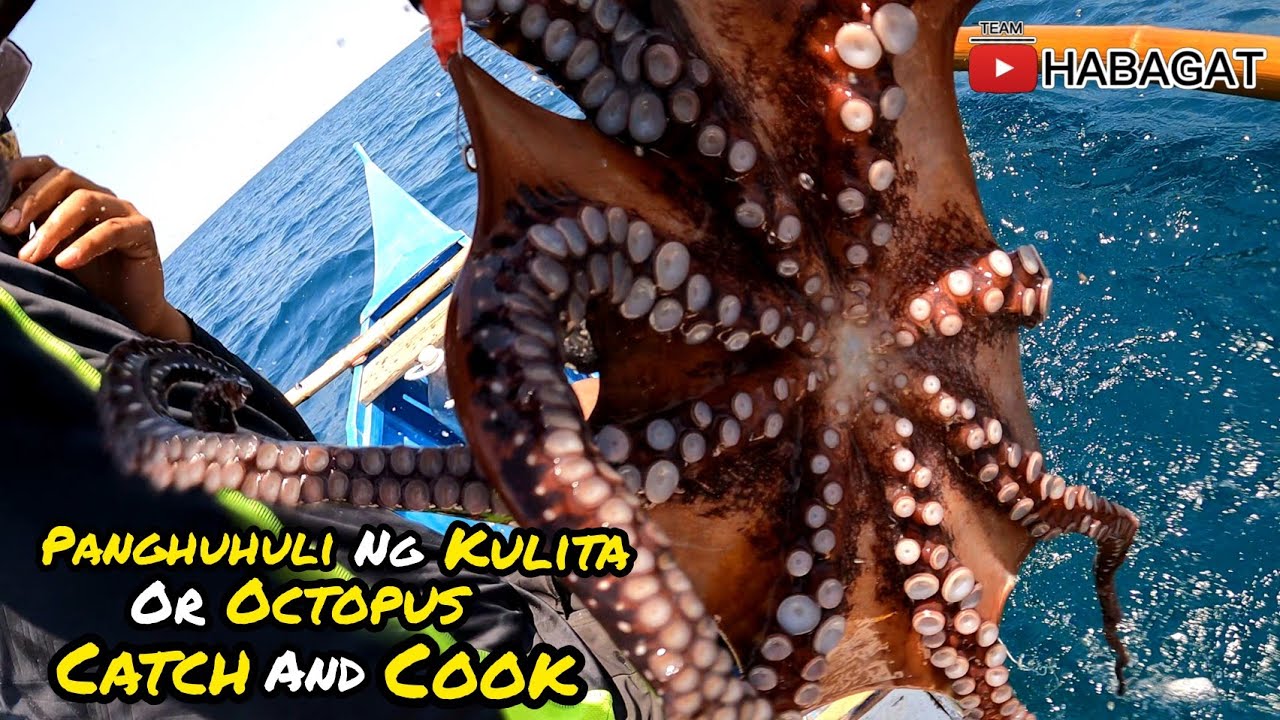 Panghuhuli ng Pugita or Octopus | using DIY fake Crab | mariveles ...
