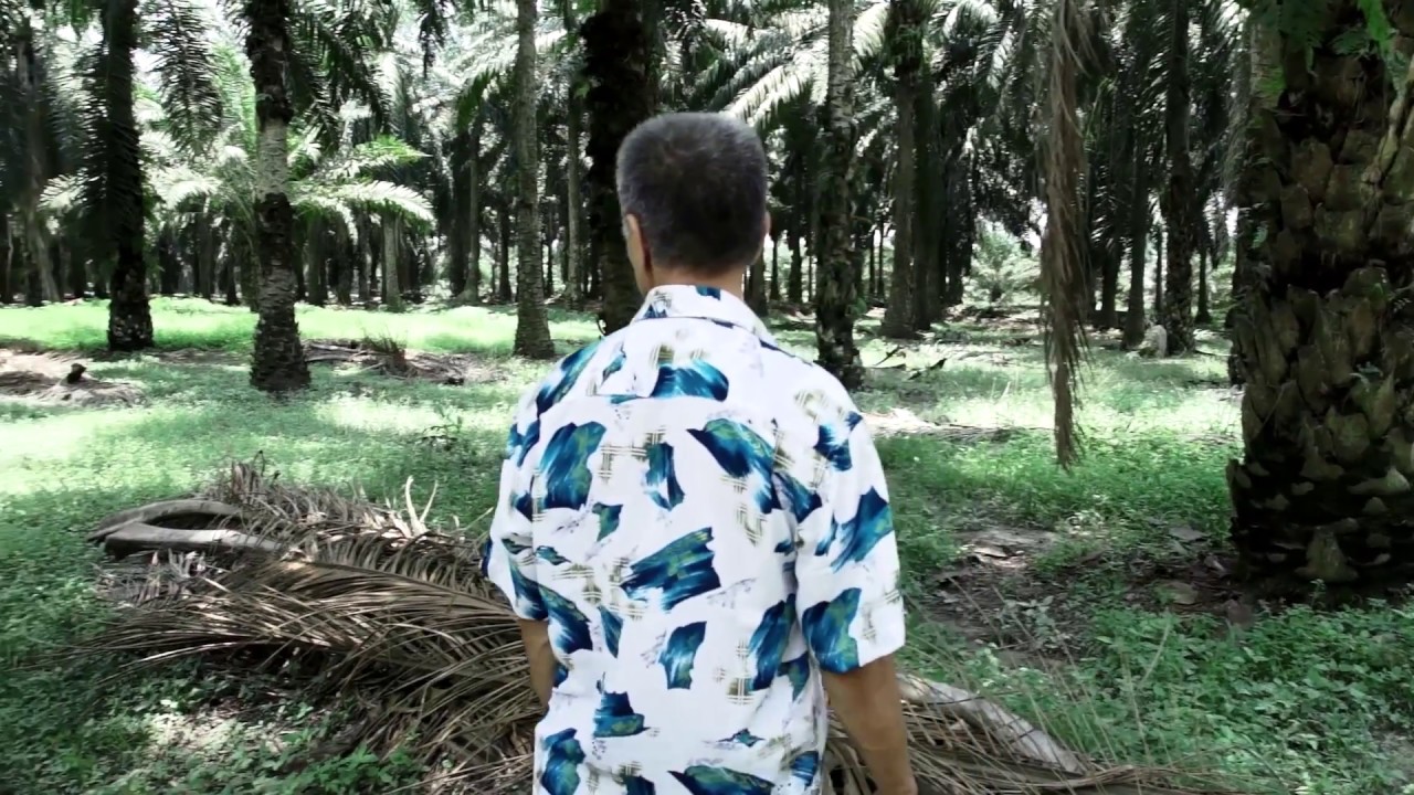 Absent Without Leave Trailer | SGIFF 2016 - YouTube