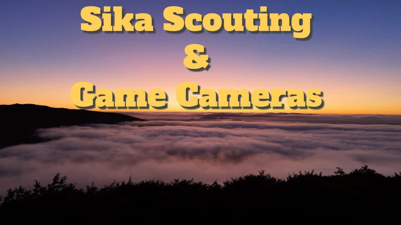Sika Scouting & Game Cameras 2025 - YouTube