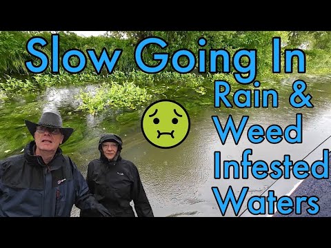 Slow Going in Rain and Weed Infested Waters Ep. 42 - YouTube