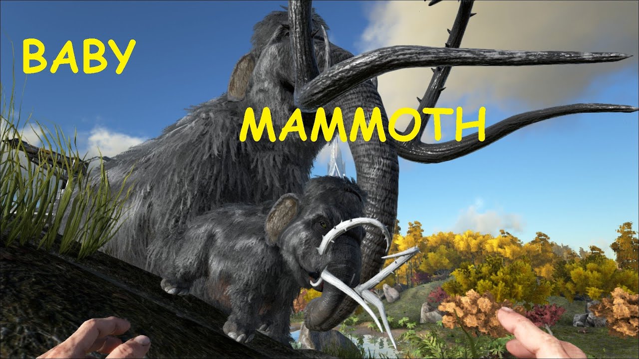 Ark Survival Evolved Ep 68 BABY MAMMOTH - YouTube