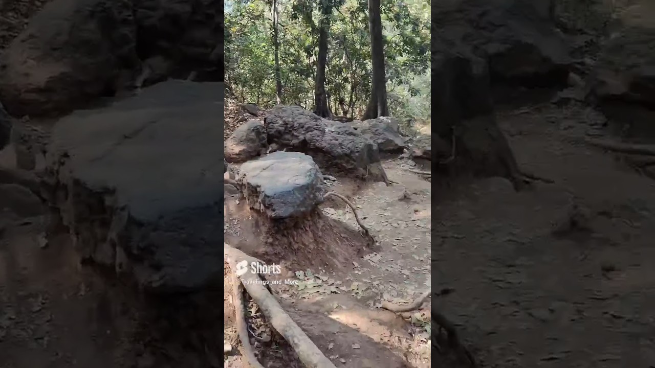 ROCK falling on me 🥵😡 at karnala fort #viral #karnala #song #music # ...