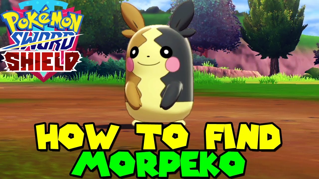 How to find MORPEKO in Pokemon Sword & Shield - Morpeko Location - YouTube