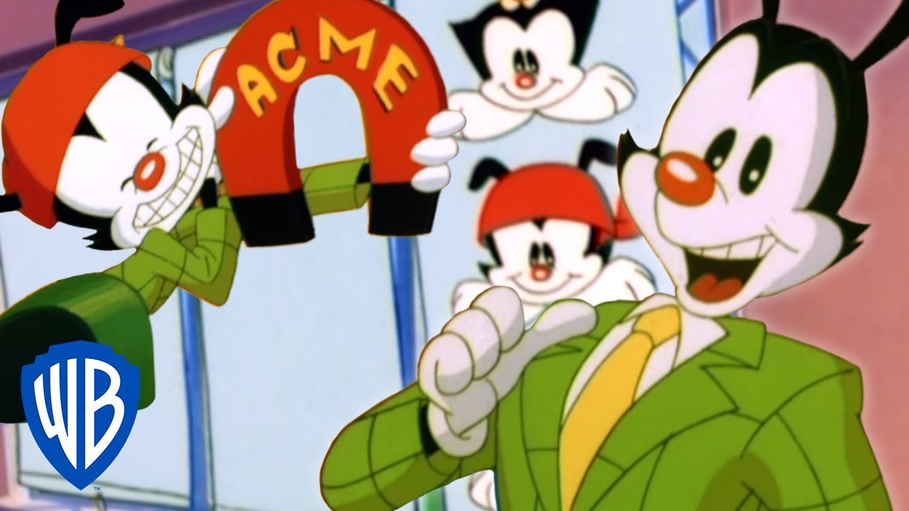 Animaniacs | Cookie Selling and Theory Crafting with Einstein | WB Kids ...