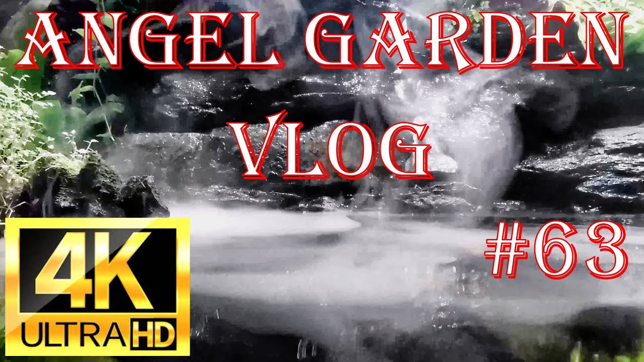 #63 ANGEL GARDEN VLOG - STOP Feeling Stressed in the Palm House Try ...