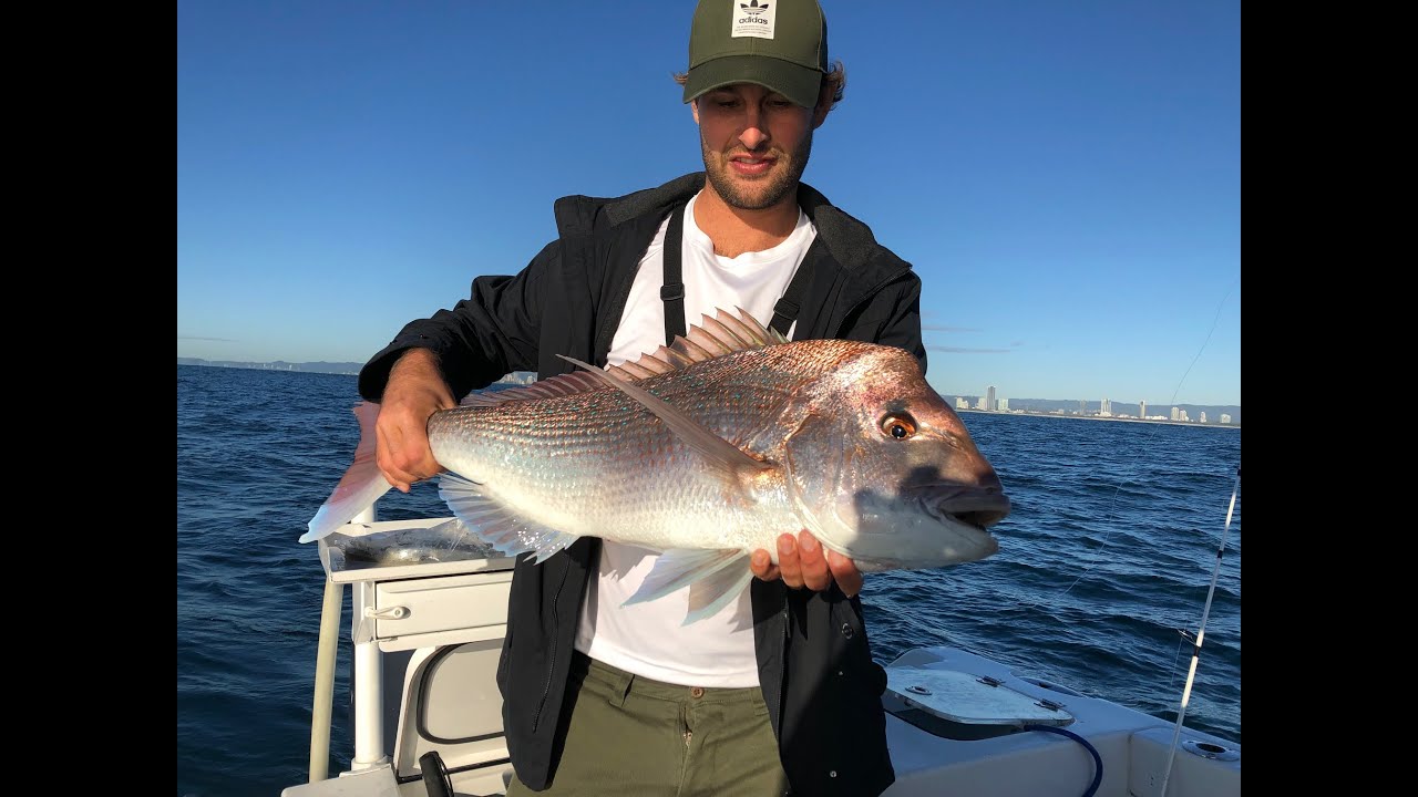 Snapper fishing Gold Coast - YouTube