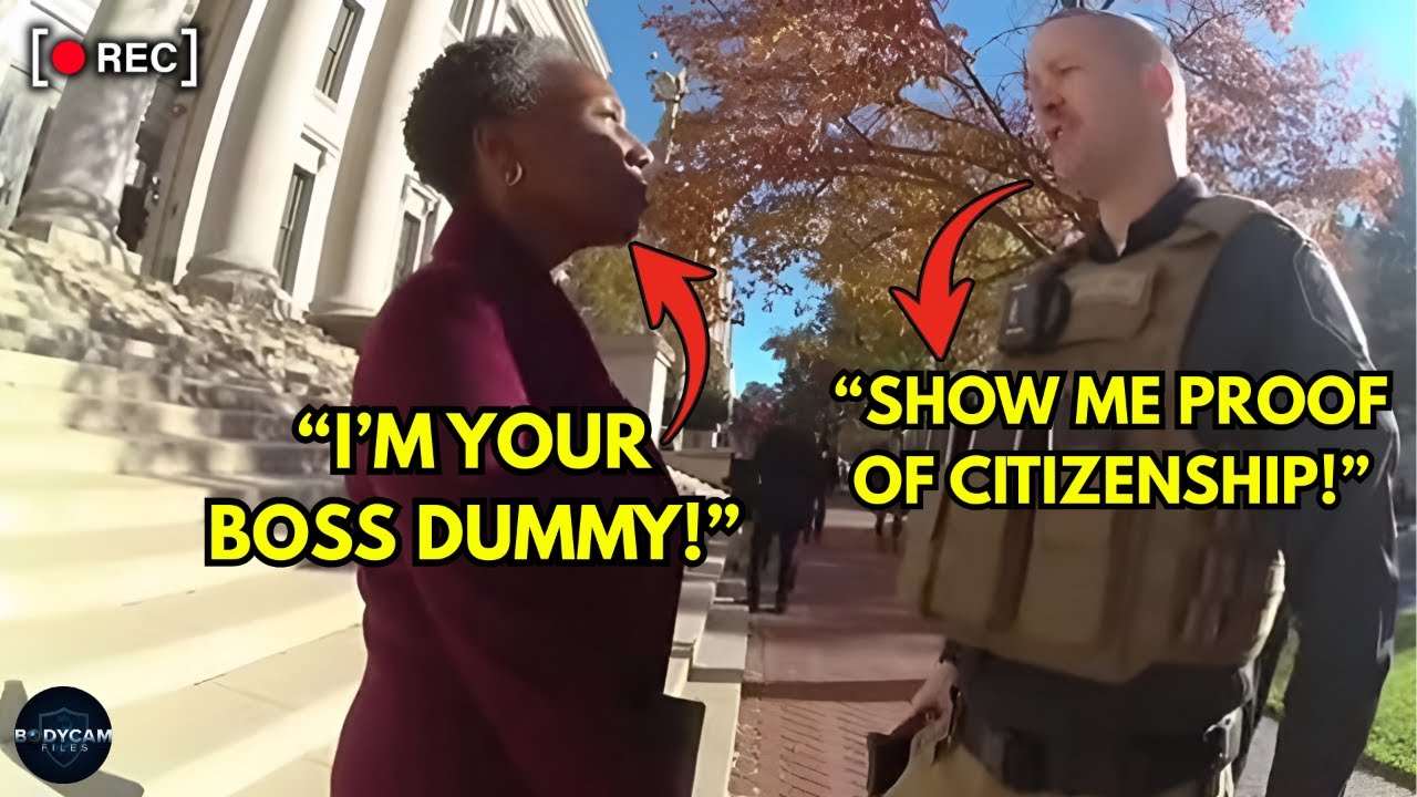 ICE Agent Detains Black Female Judge, Demands Proof of Citizenship ...