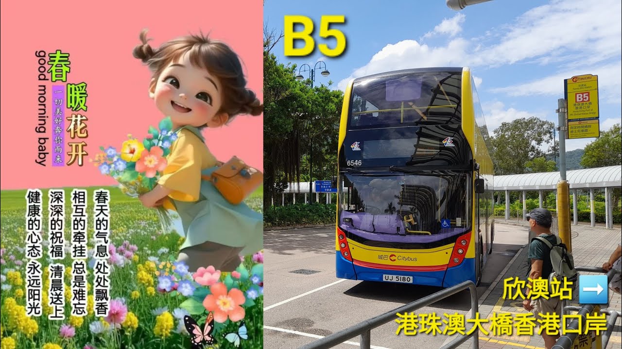 Hong Kong Bus CTB 6546 @ B5 城巴 Alexander Dennis Enviro500 MMC New ...