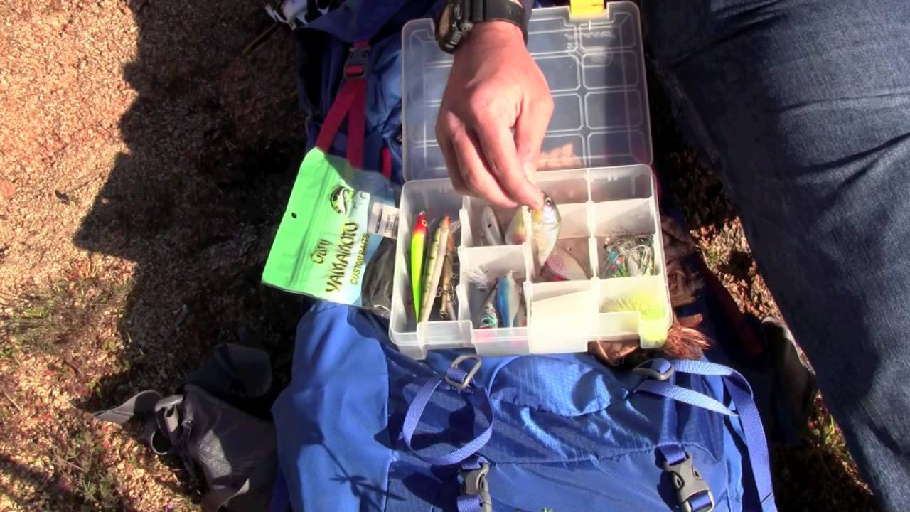 Bass Fishing Tips For Bank Anglers - YouTube