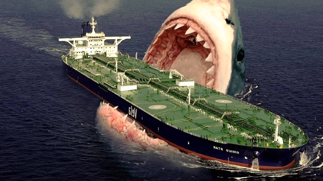 Самая большая акула в мире. Топ 10 фактов - YouTube