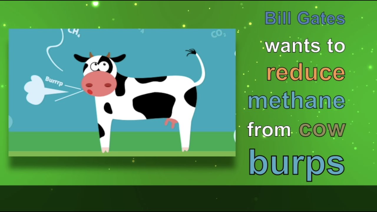 Bill Gates wants to reduce methane from cow burps - YouTube