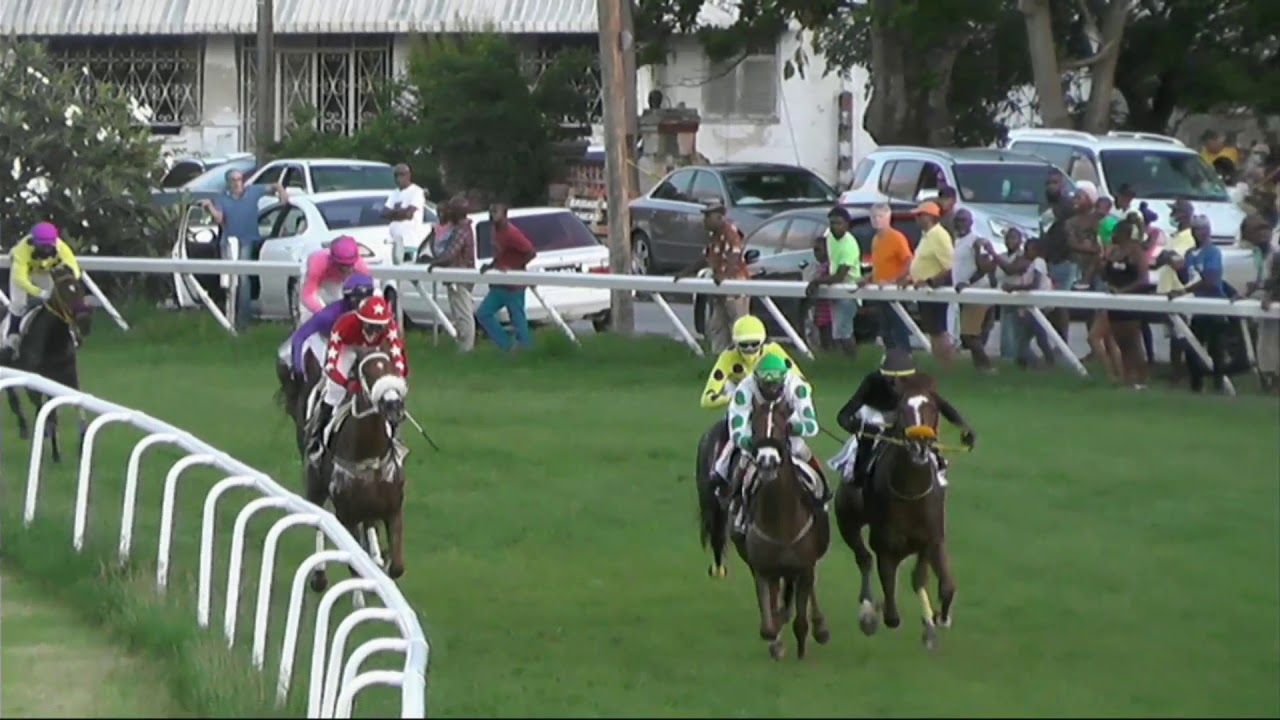 BTC RACE DAY 14 NOV 2020 Race6 - YouTube