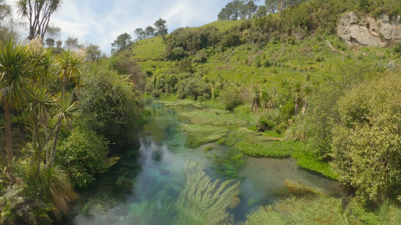The Blue Spring Te Waihou Walkway, Putaruru; short end - YouTube